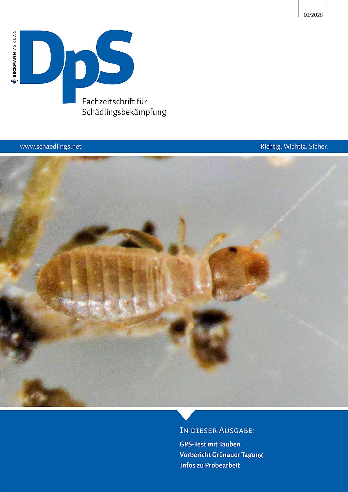 DpS Februar 2026 – jetzt online lesen! | DpS