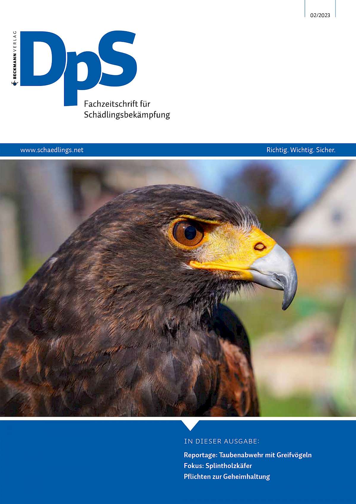 Die Februar-Ausgabe 2023 jetzt online lesen! | DpS