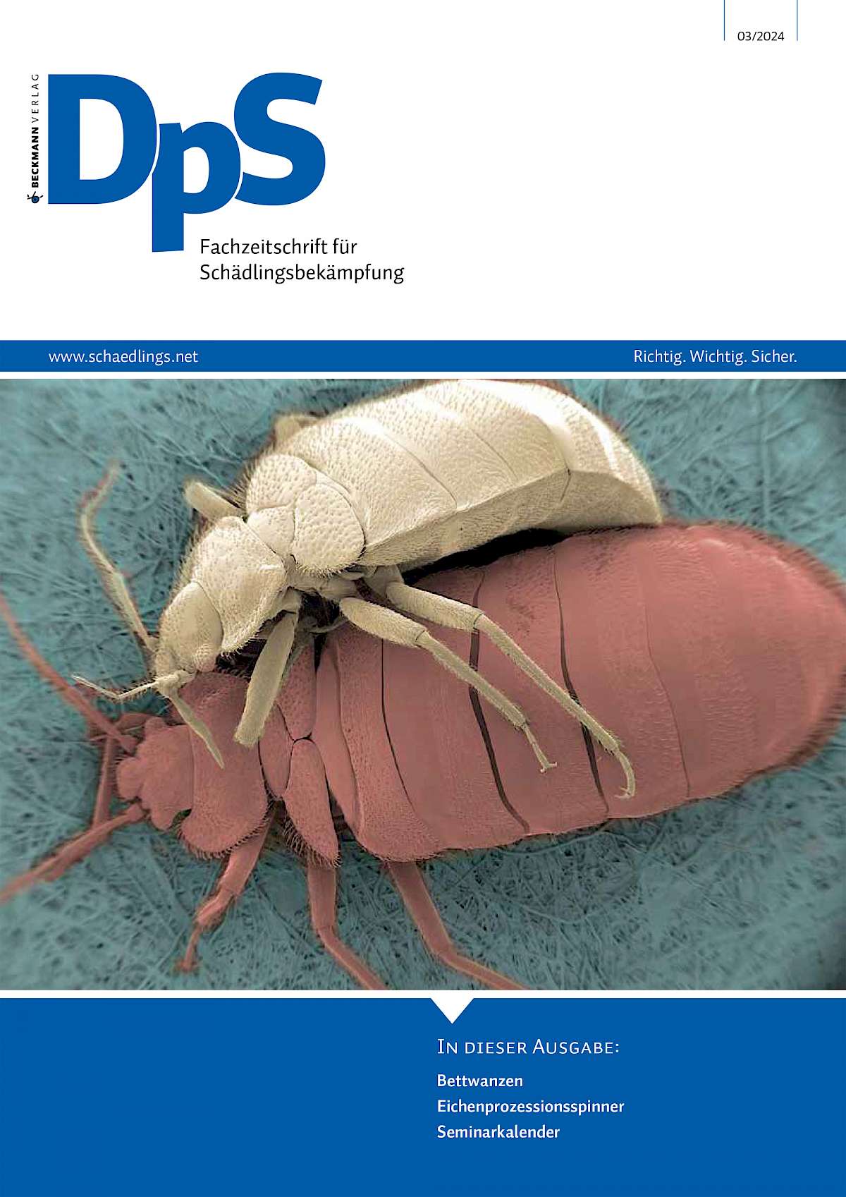 Die März-Ausgabe ist jetzt online! | DpS