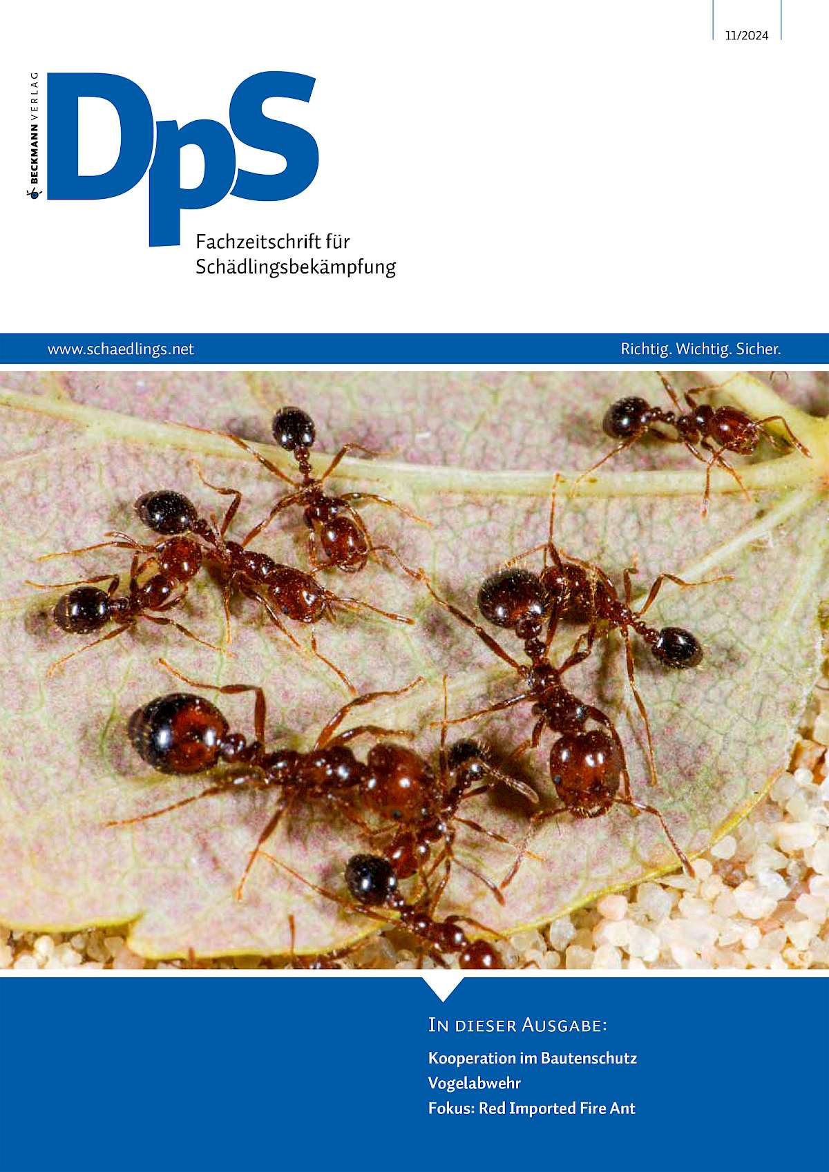 Die November-Ausgabe ist jetzt online! | DpS