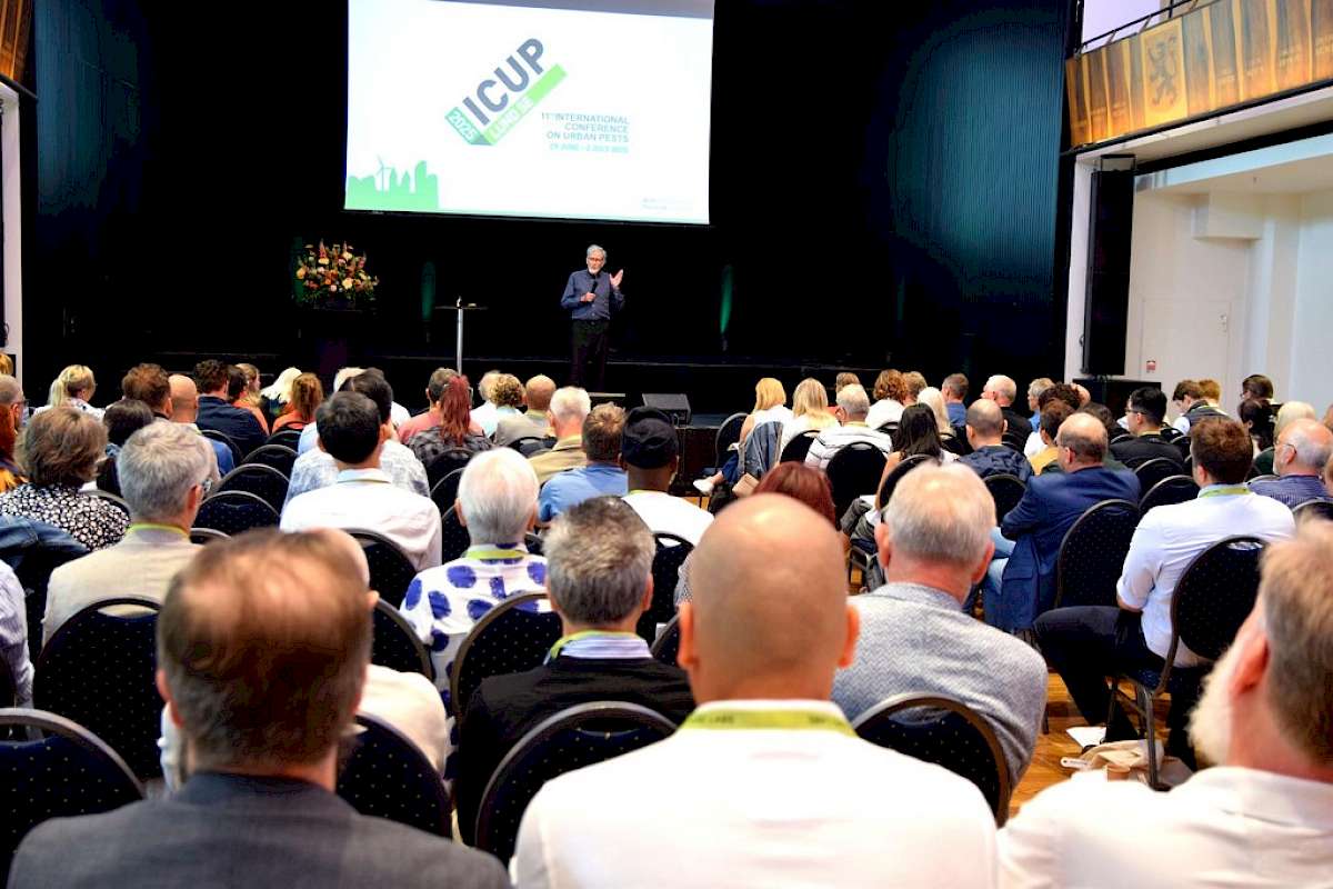 Bilder von der ICUP 2025 | DpS